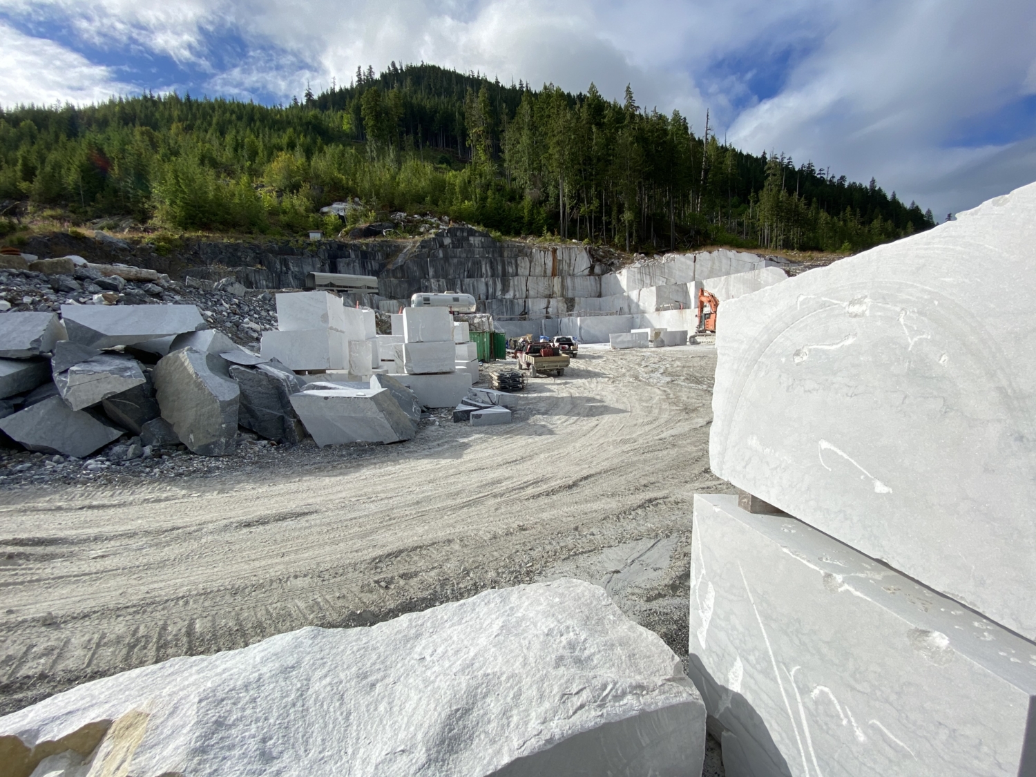 WHY WOULD A DESIGNER SELECT VANCOUVER ISLAND MARBLE ? – JC Scott eco ...